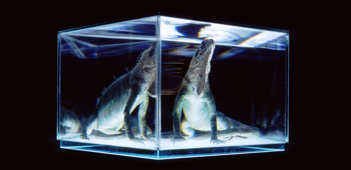 Prism [Candle] - Kohei Nawa