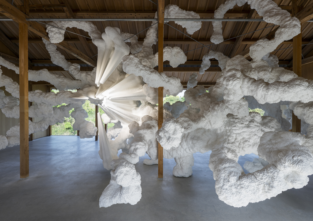 Biota (Fauna/Flora) - Kohei Nawa