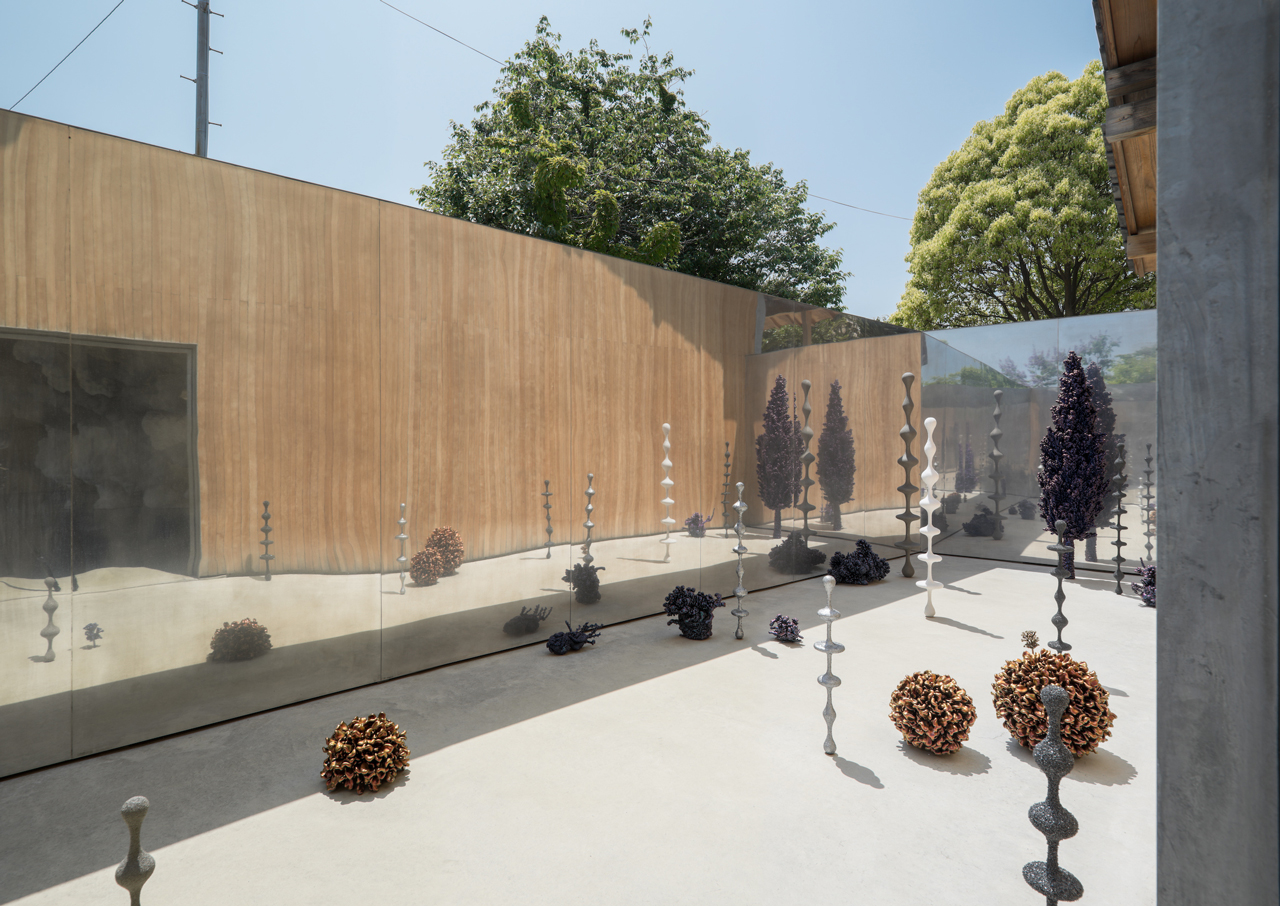 Biota (Fauna/Flora) - Kohei Nawa