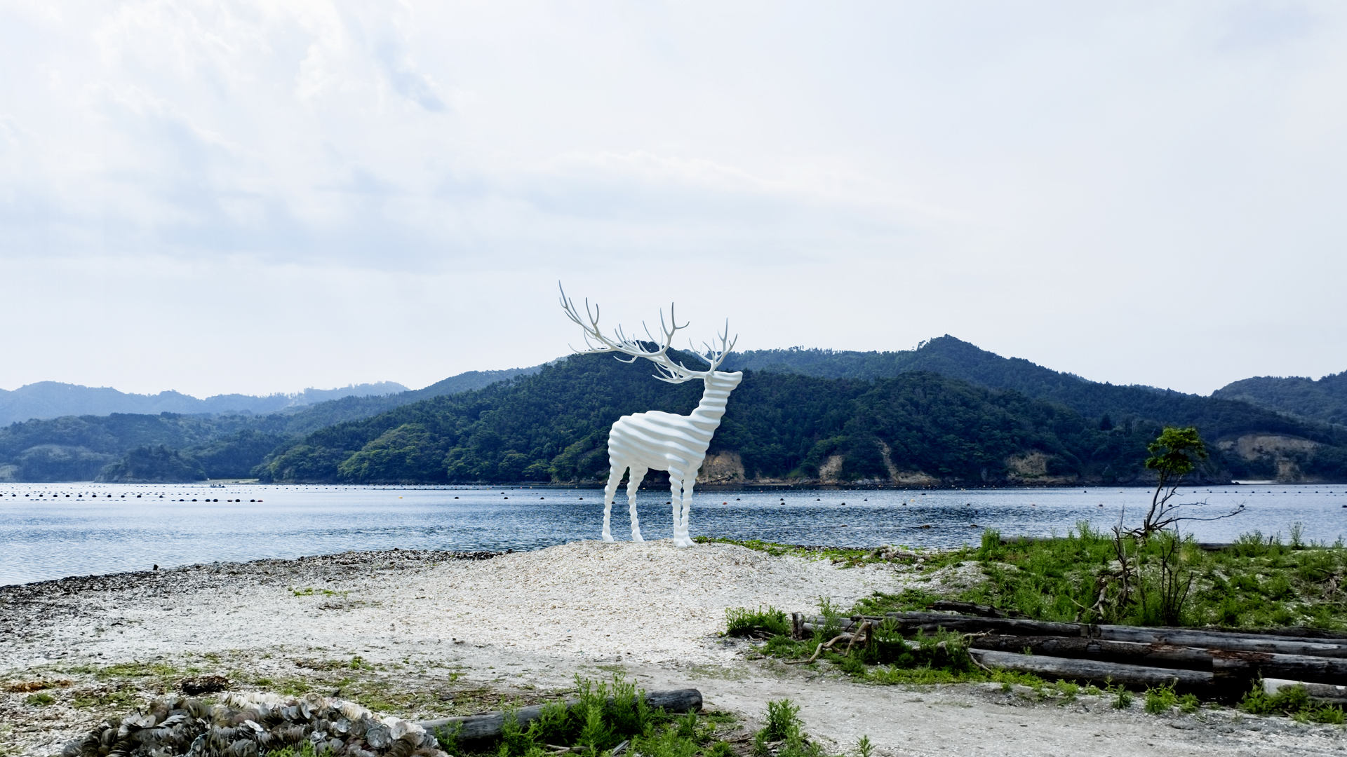 White Deer (Taipei) - Kohei Nawa