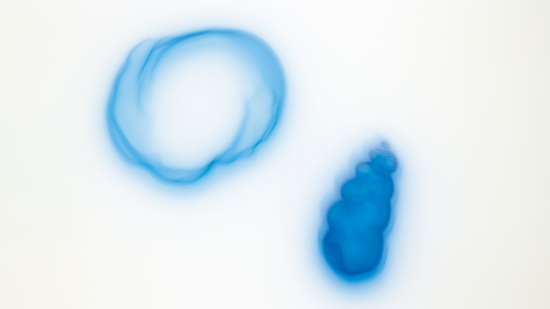 Blue Seed_A/Blue Seed_B - Kohei Nawa