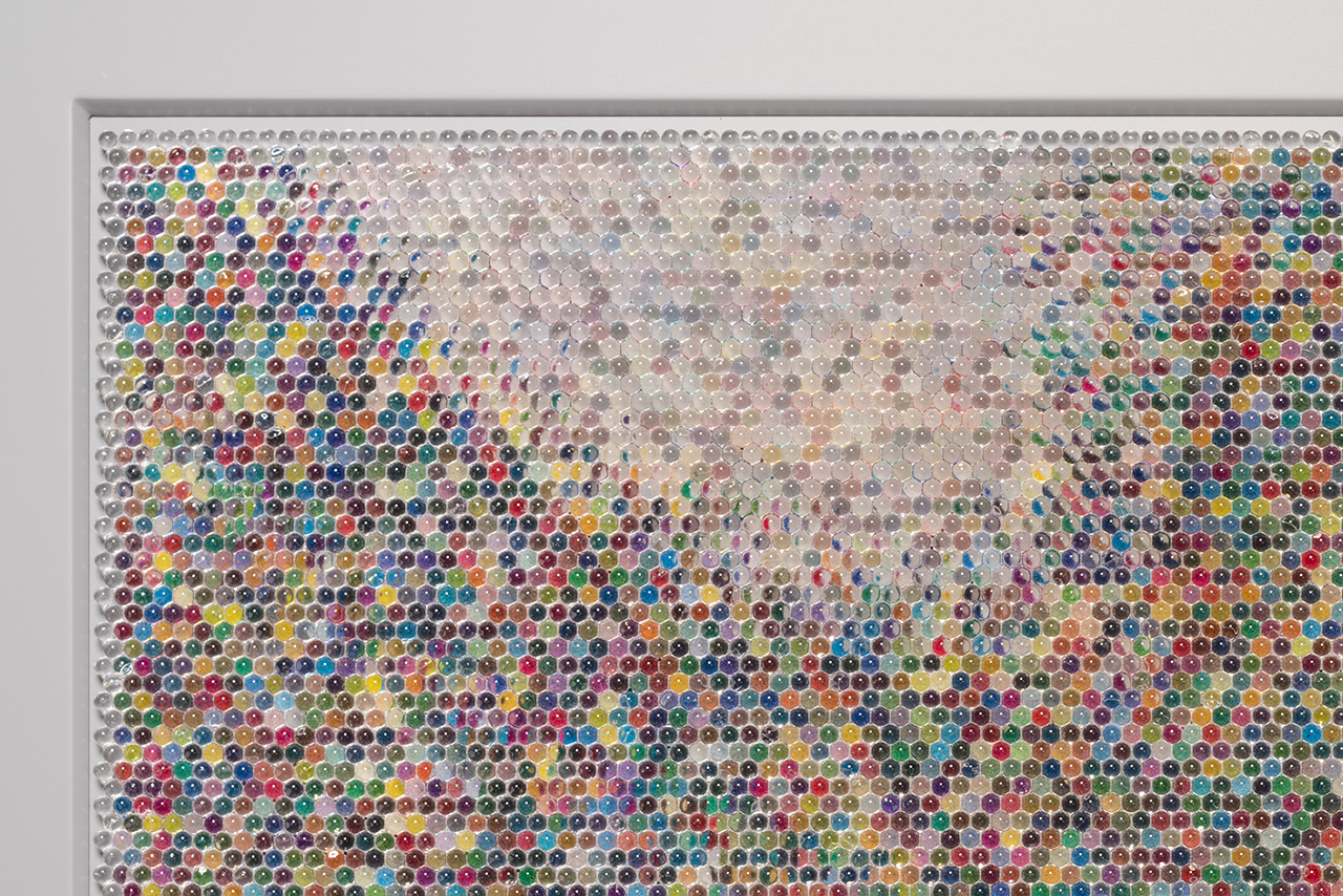 PixCell-Raccoon Dog - Kohei Nawa